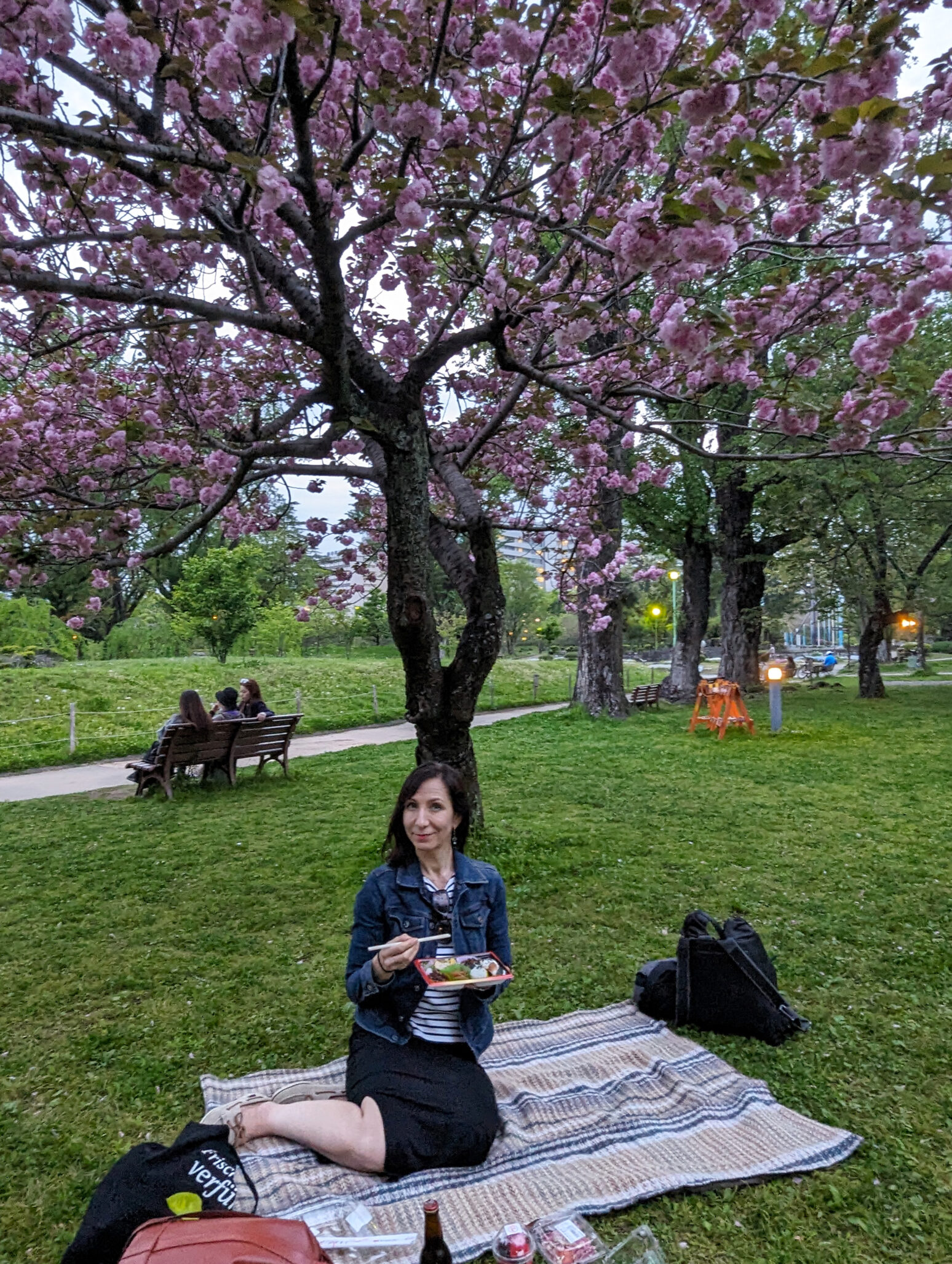 Die schönsten Burgen und Schlösser in Japan - Burgdame